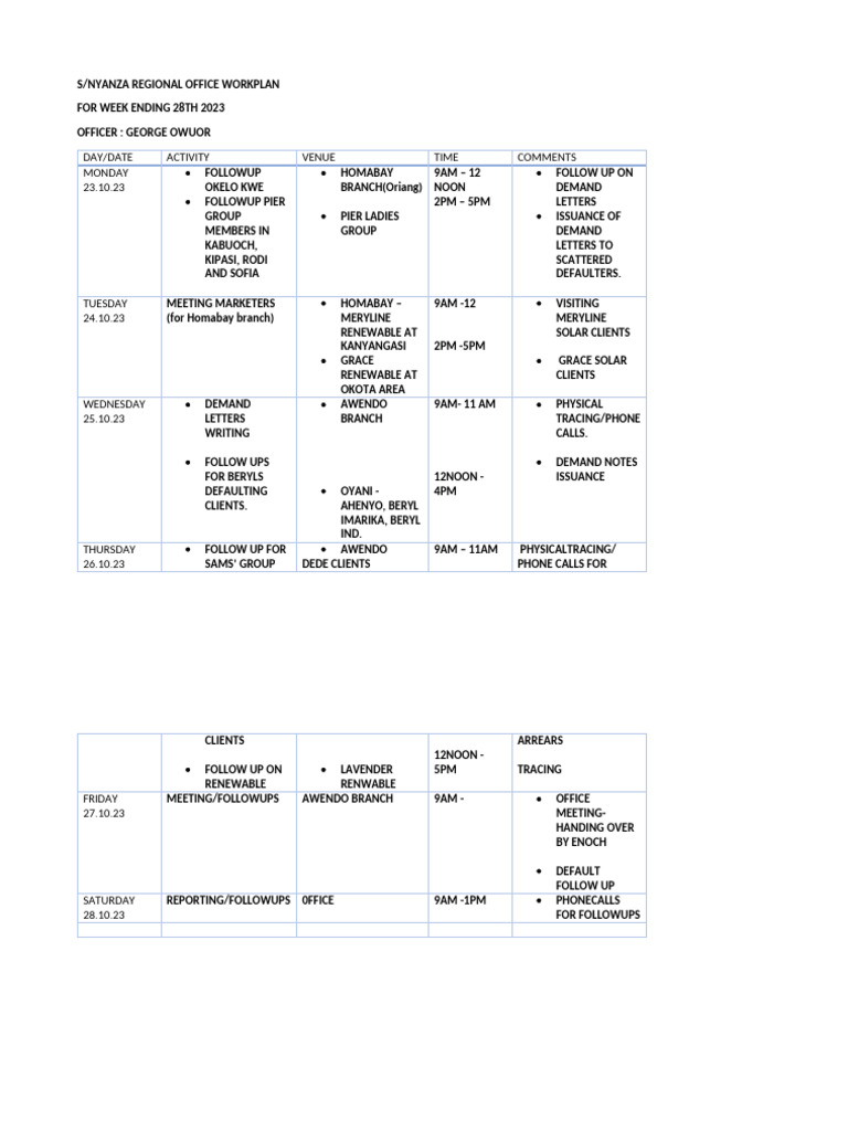 Nyanza Office Weekly Workplan Summary | PDF