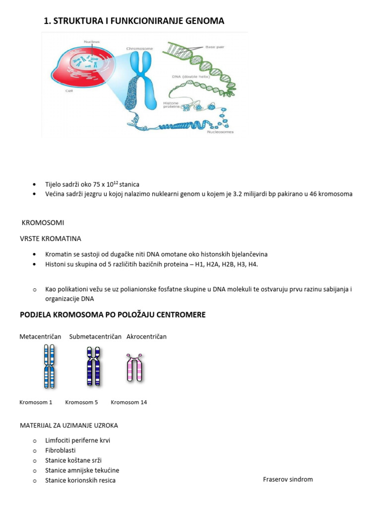 00 Genetika Cijela Skripta Prezentacije | PDF