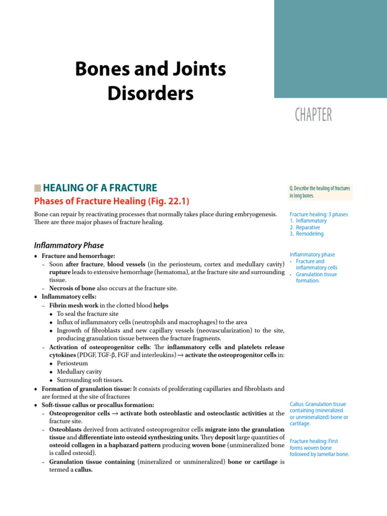 Bones and Joints Disorders | PDF | Bone | Medical Specialties