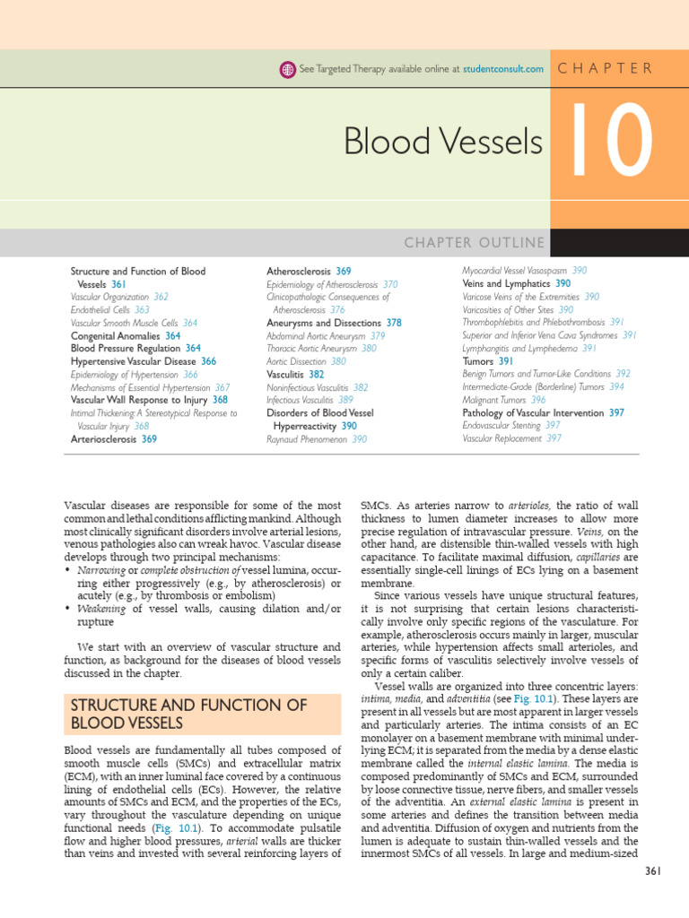 10. Blood Vessels | PDF | Angiotensin | Blood Vessel