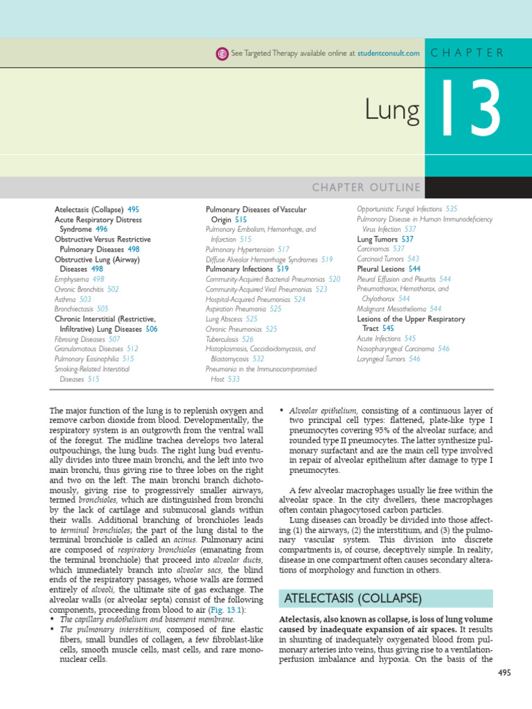 13. Lung | PDF | Lung | Respiratory Diseases