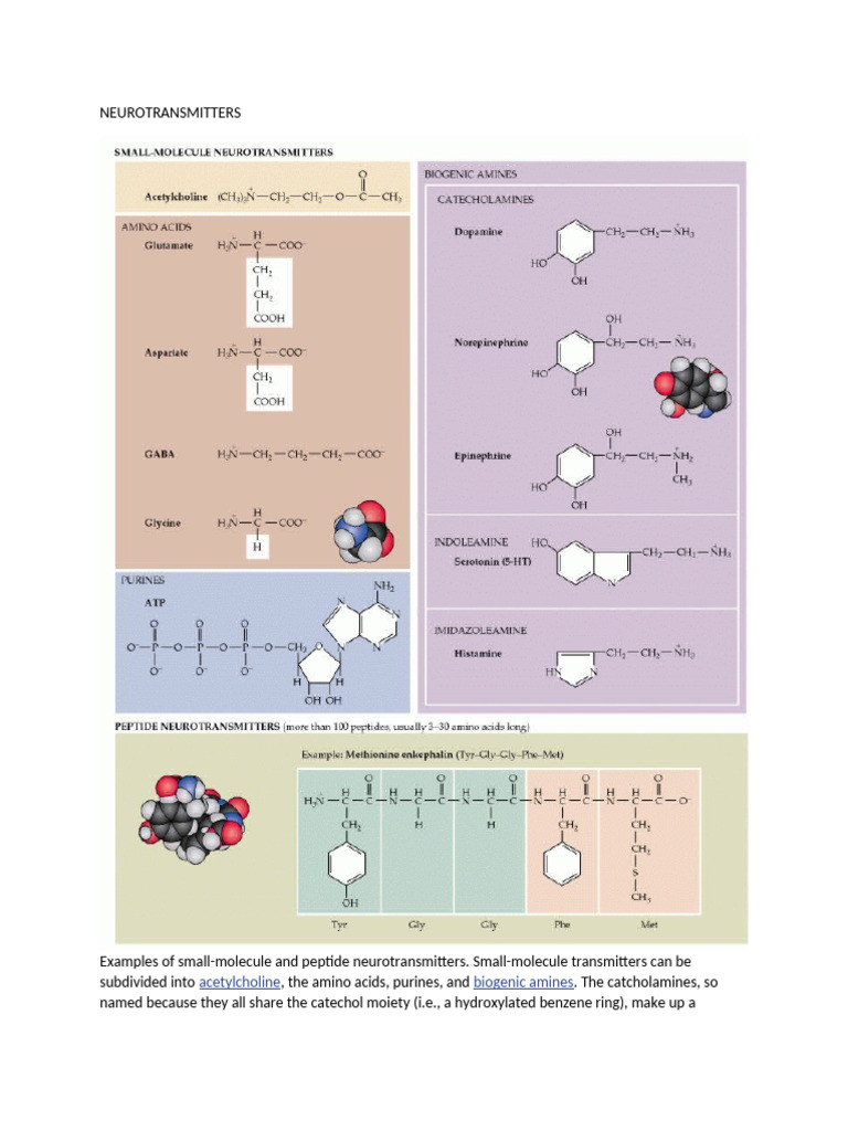 NEUROTRANSMITTERS | PDF