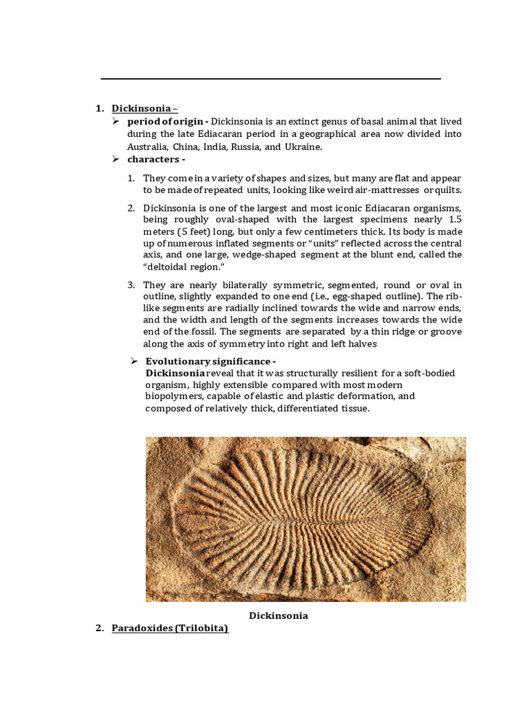 Study of Fossils From Models/ Pictures: Part 1: Evolutionary Biology ...