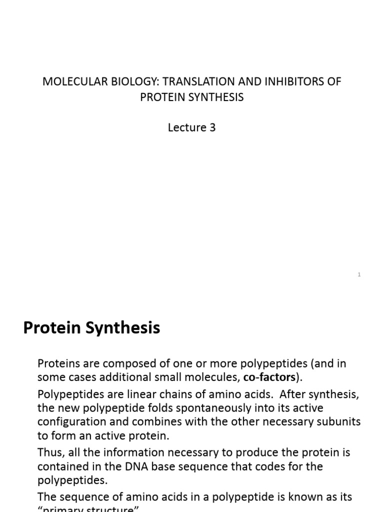 3. Translation _ Inhibitors of Protein Synthesis_ | PDF | Translation ...