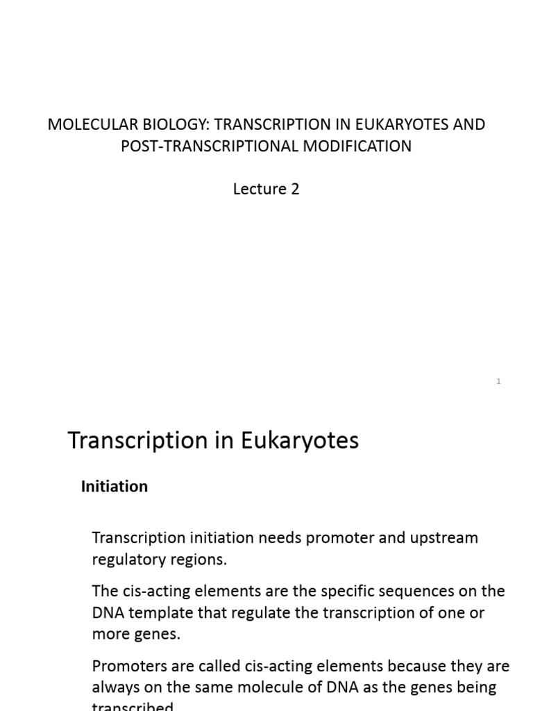 Transcription in Eukaryotes and Post Transcriptional Modification | PDF ...