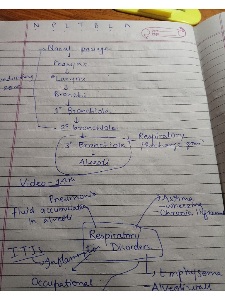 Bio Important Notes | PDF
