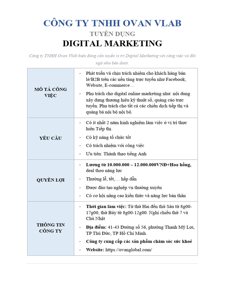 VLAB Digital Marketing | PDF