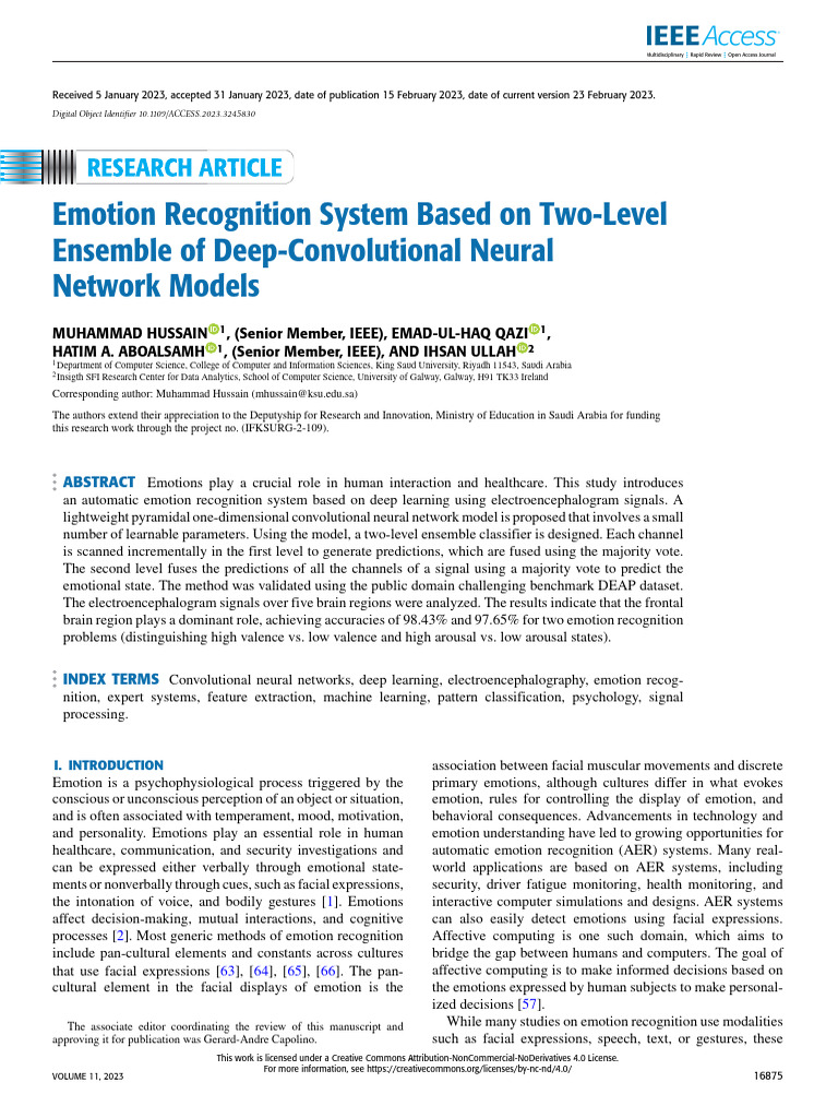 Emotion Recognition System Based On Two Level Ensemble Of Deep Convolutional Neural Network