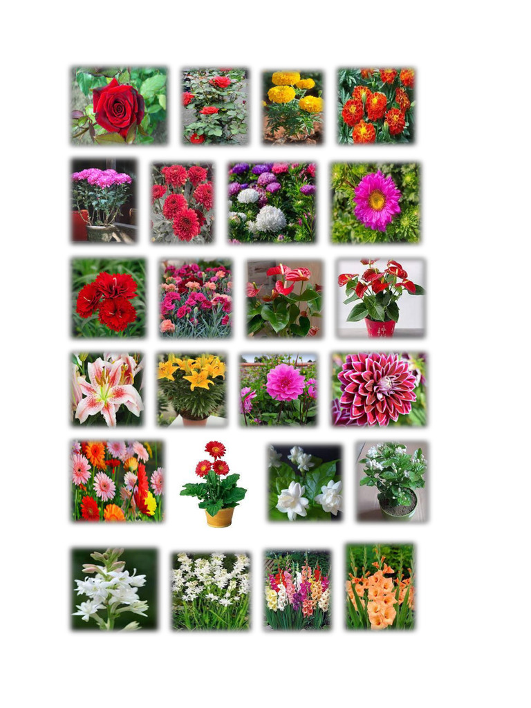 Flowers | PDF