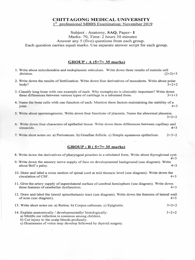 2019 November Anatomy SAQ - MCQ CMU | PDF | Aorta | Anatomy