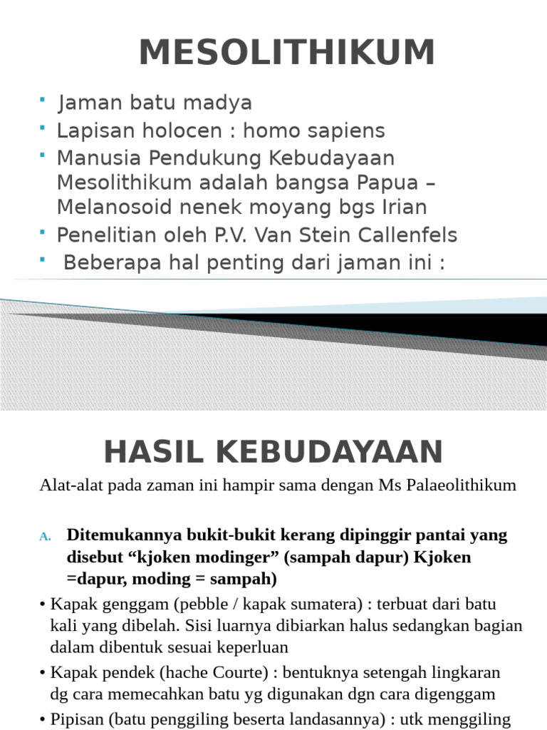 Mesolithikum Baru | PDF