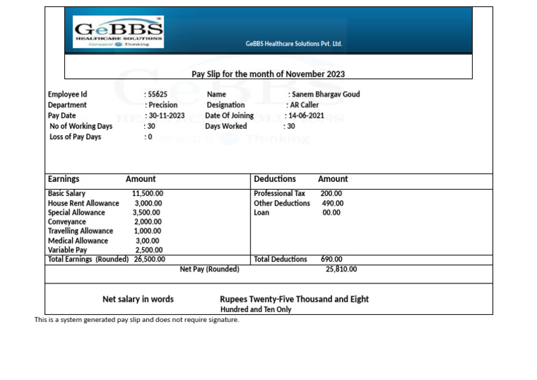 November 2023 Pay Slip for Sanem Goud | PDF
