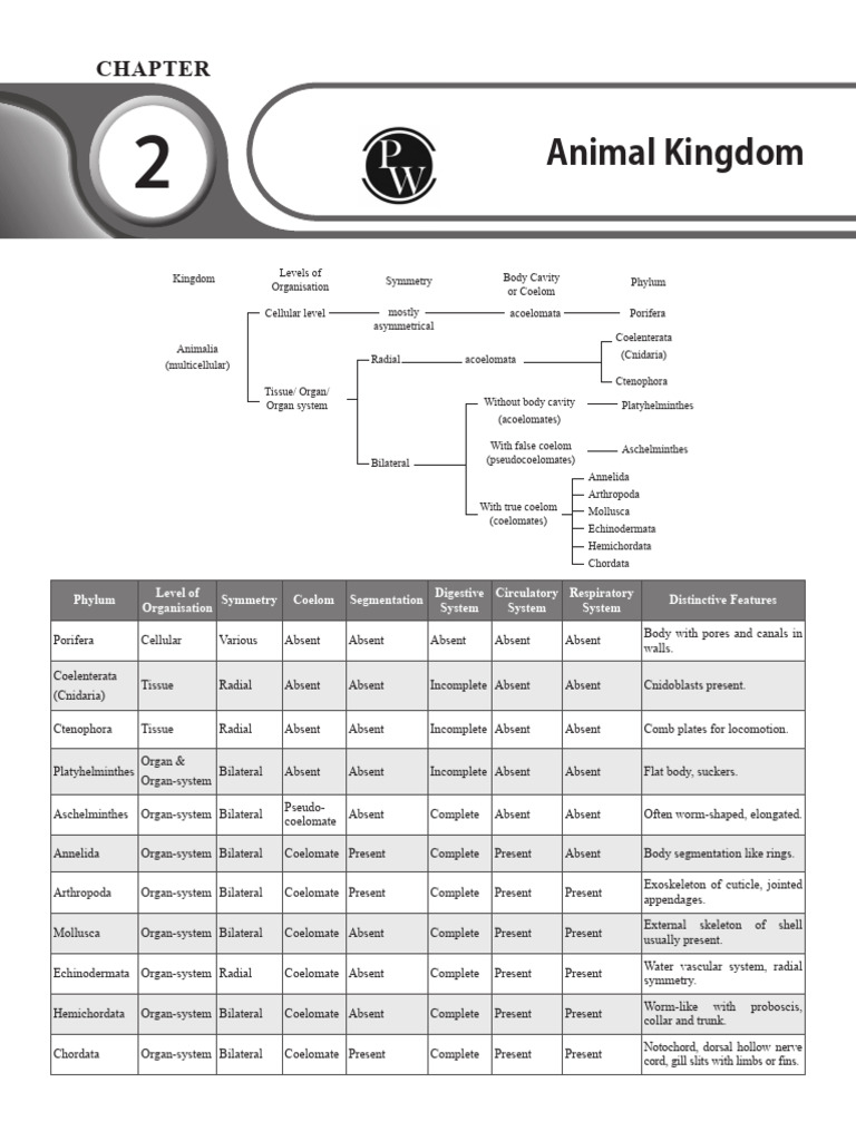 Animal Kingdom | PDF | Vertebrates | Zoology