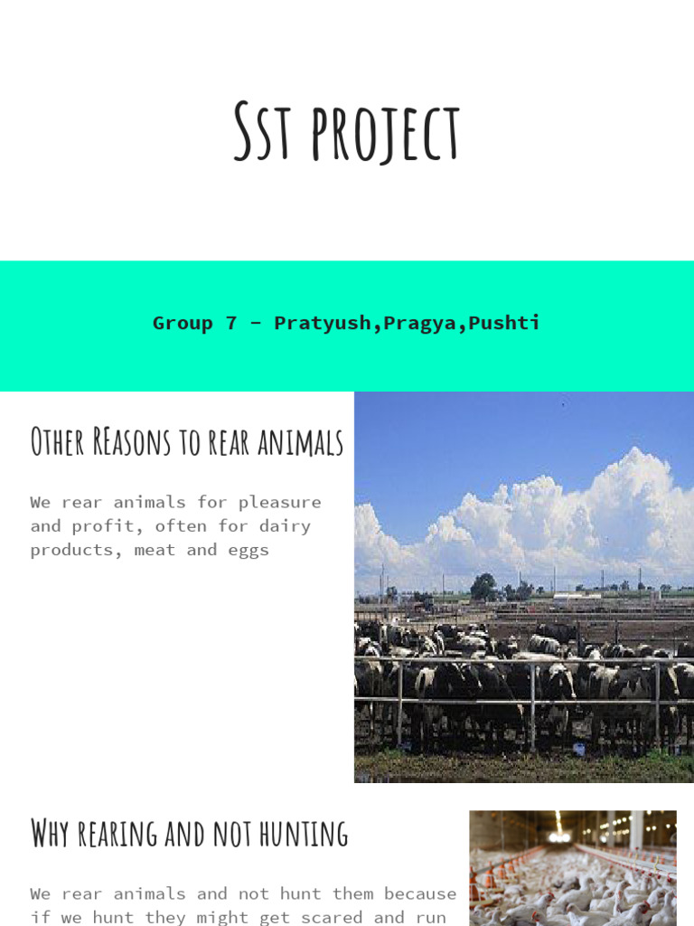 SST Project | PDF