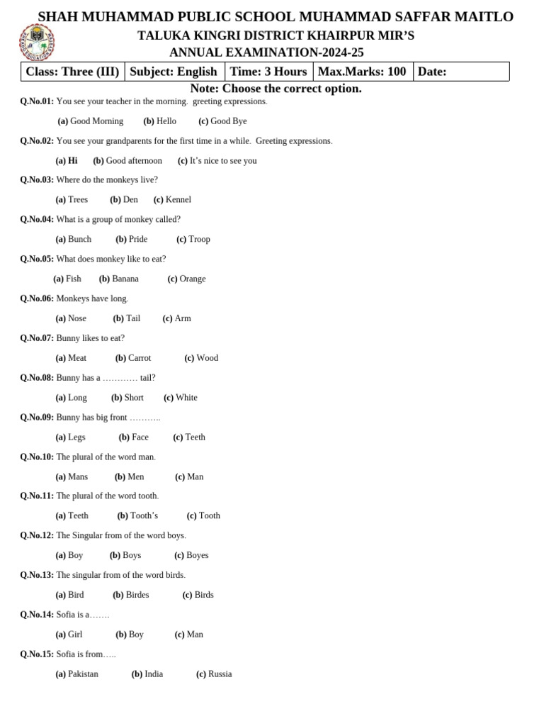 Class 3 English Exam Paper 2024-25 | PDF