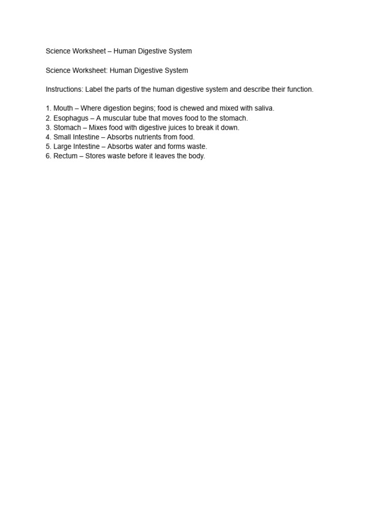Human Digestive System Worksheet | PDF