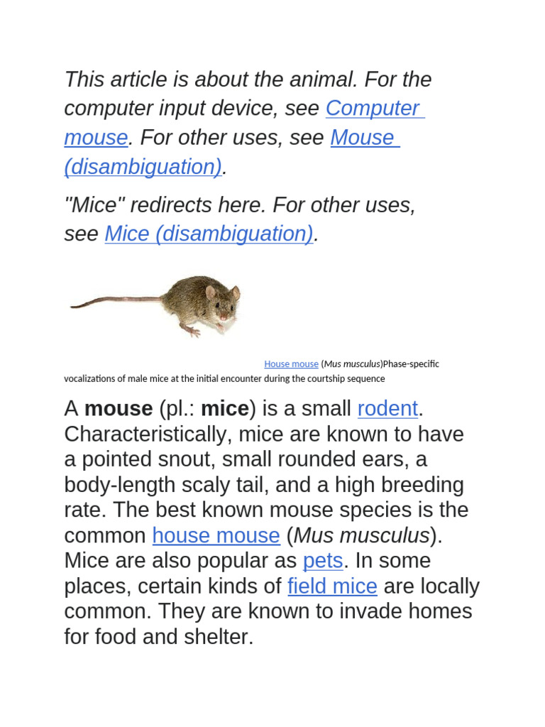 Overview of Mice Species and Traits | PDF | Mouse | Rodent