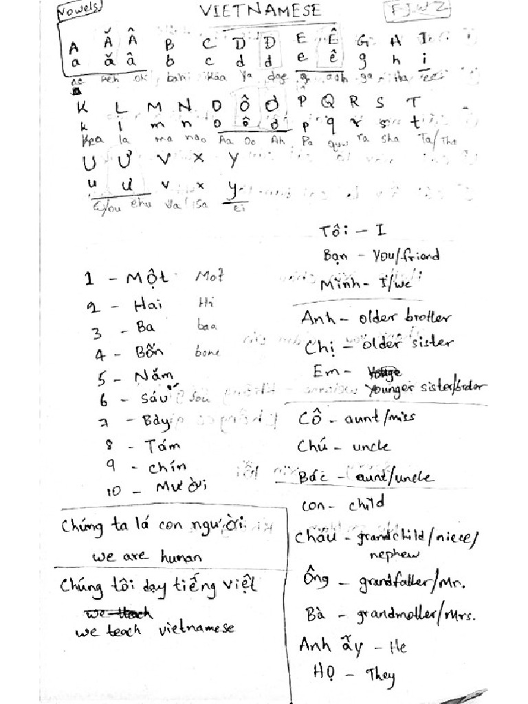 Basic Vietnamese PDF | PDF