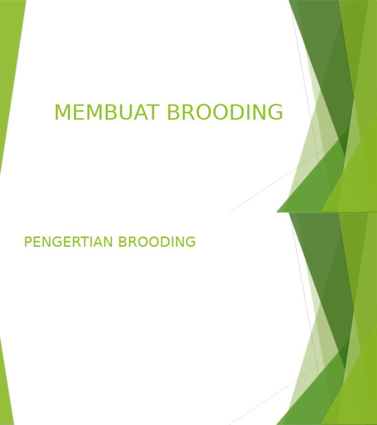 MEMBUAT BROODING | PDF