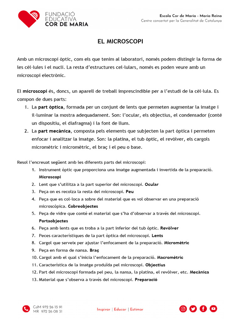 Activ 1. Microscopi | PDF