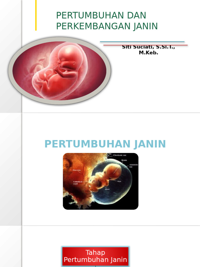 Pertumbuhan Dan Perkembangan Janin | PDF