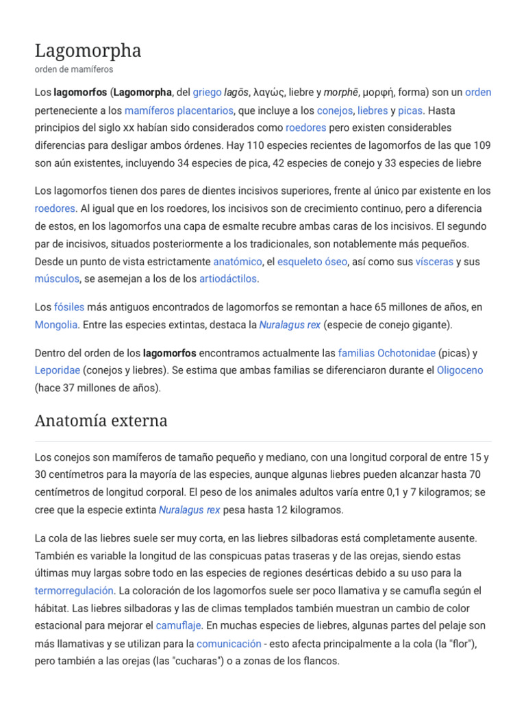 Introducción a los Lagomorfos | PDF | Zoología