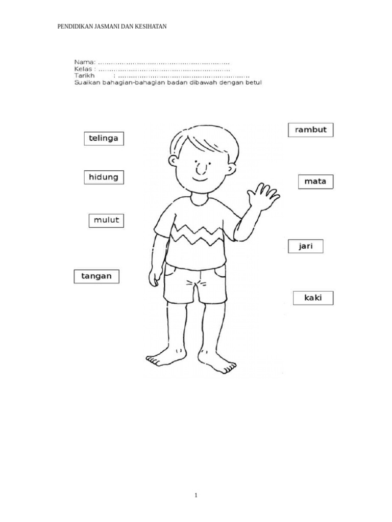 Pendidikan Jasmani Dan Kesihatan Pdf