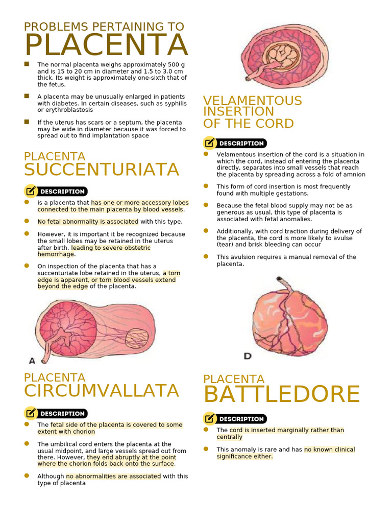 Placental and Cord Abnormalities | PDF | Placenta | Fetus