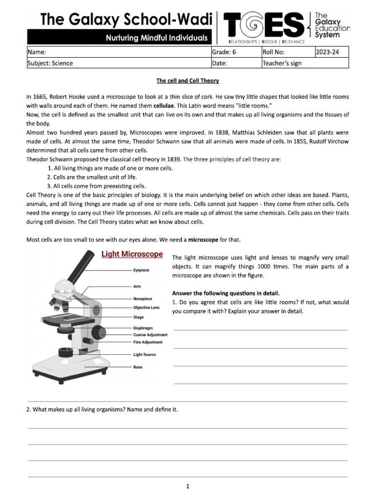 Structure and Function Booklet | PDF