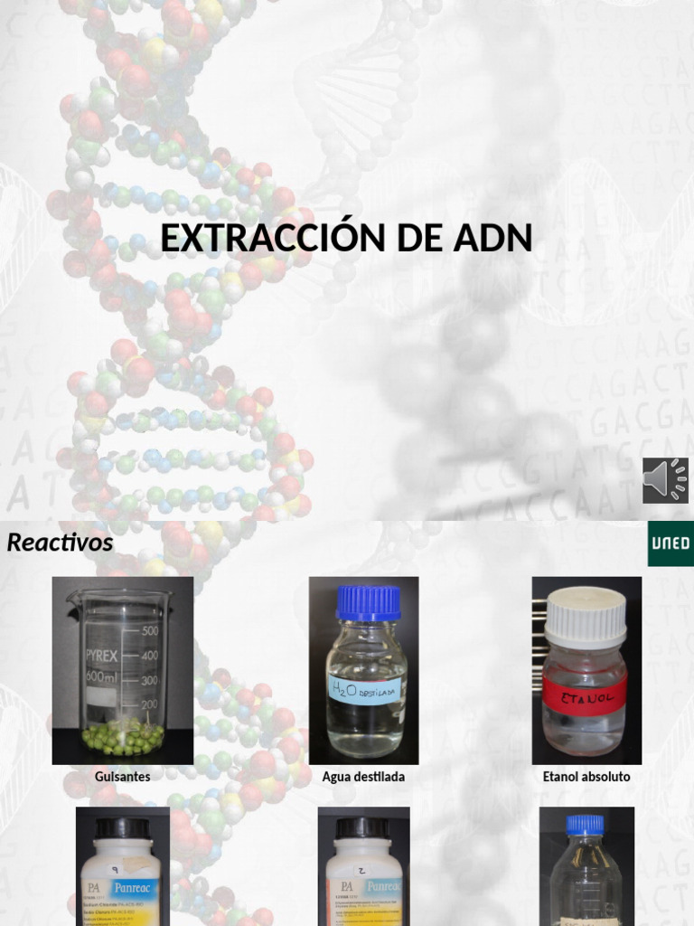 Práctica I - Extracción de ADN | PDF | Química analítica | Operaciones unitarias