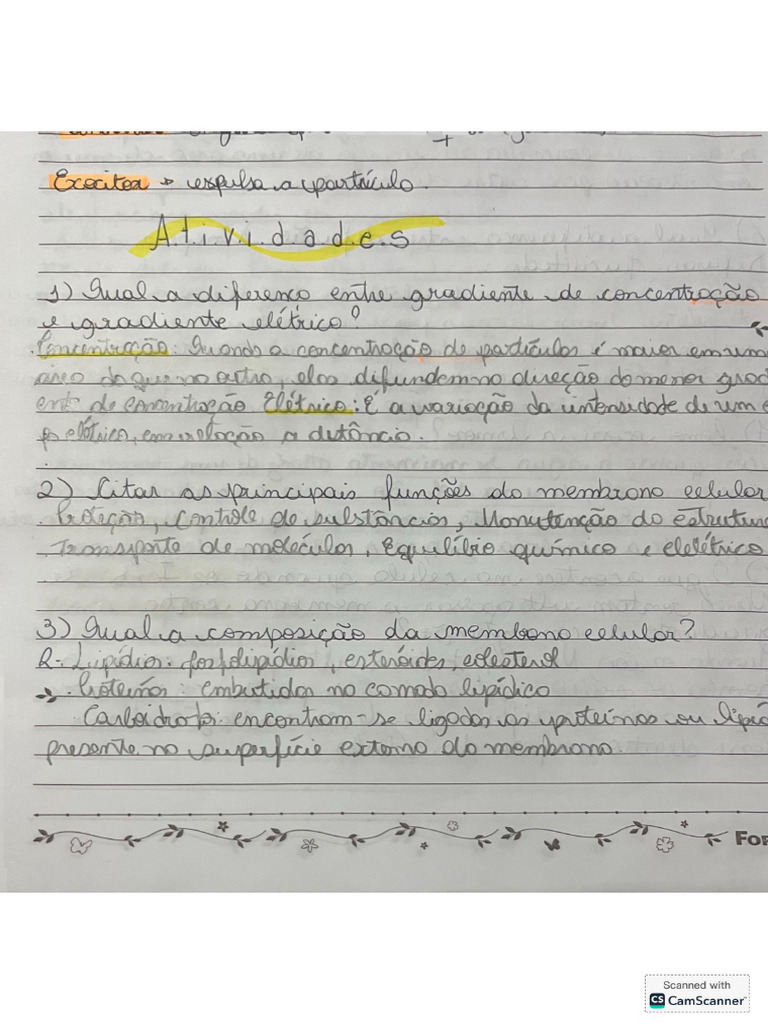 Atividades morfo | PDF