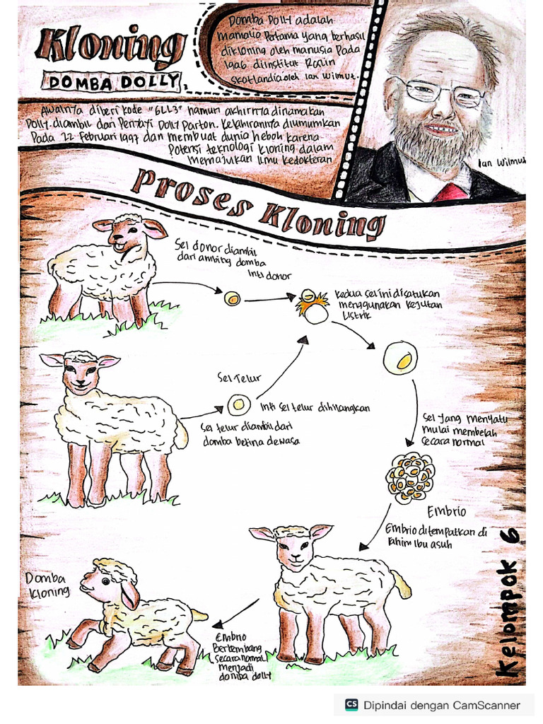 kloning domba dolly kelompok 6 | PDF