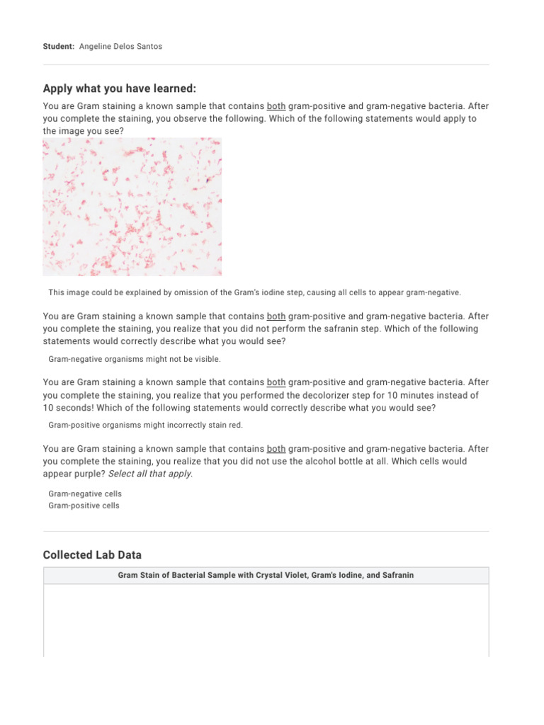 Staining - Gram Staining | PDF