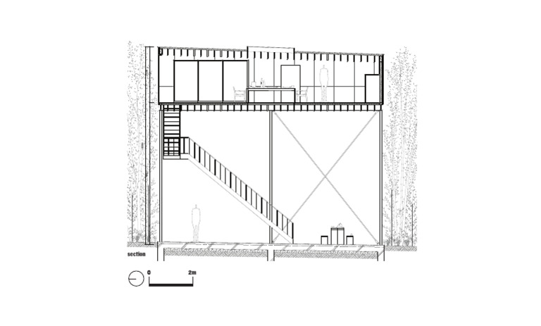 Pilotis in A Forest Section | PDF