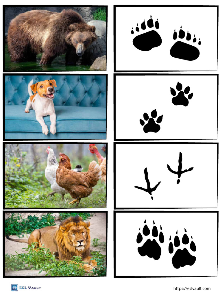Free Animal Tracks Matching Game 2 | PDF