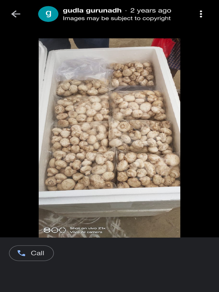 Svs Mushrooms and Diary - Google Local | PDF