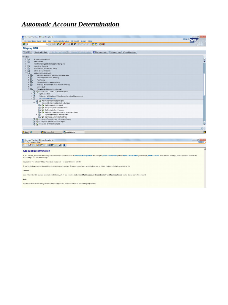 Automatic Account Determination | PDF
