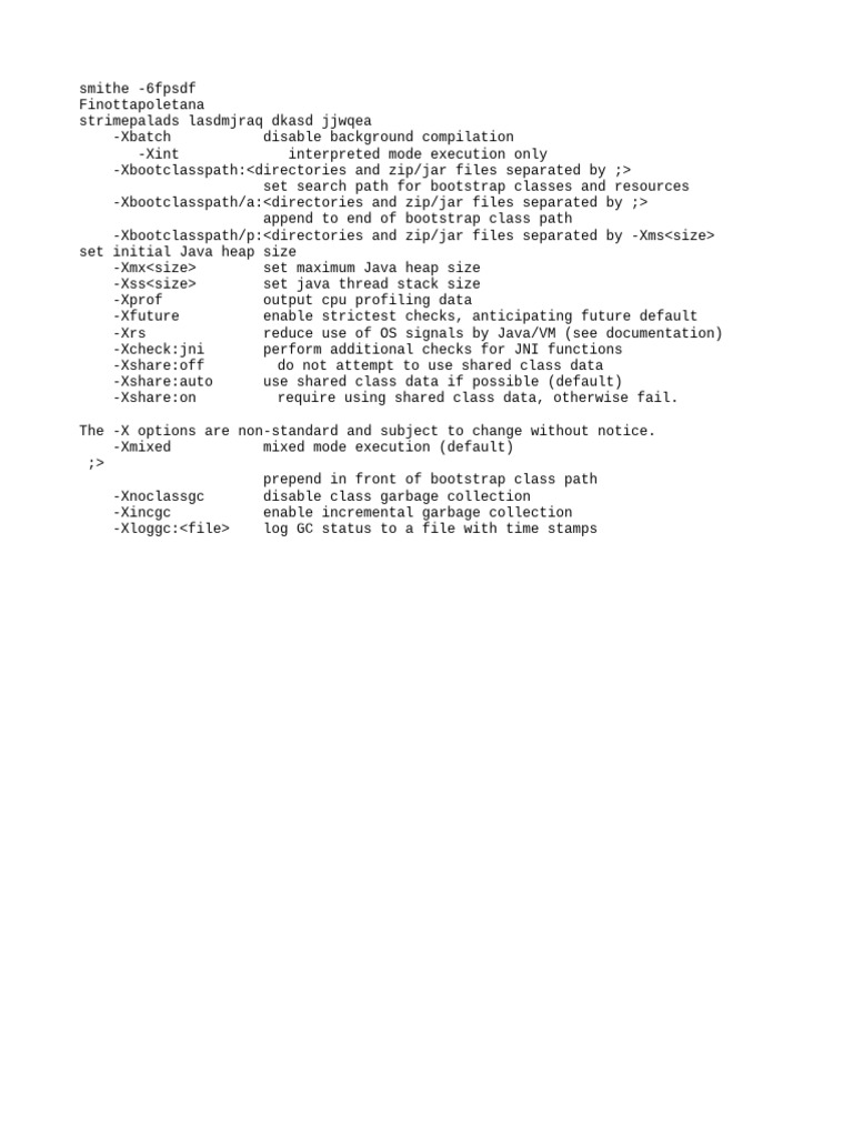 Java -X Options and Configurations Guide | PDF