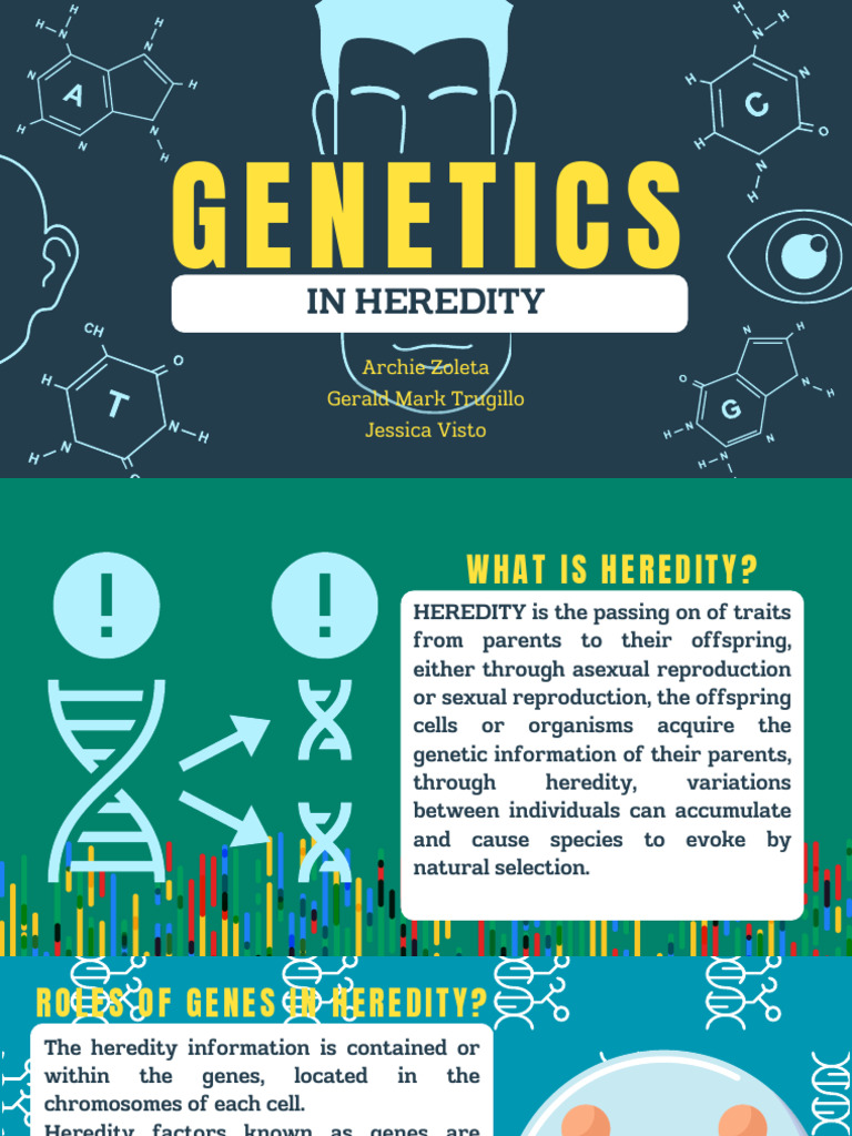 Understanding Heredity And Genetics Pdf Dna Gene