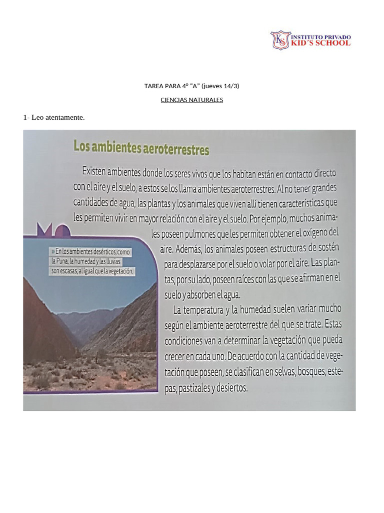 Tarea de Ciencias para 4° "A" | PDF