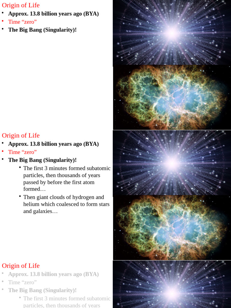 Origin of Life - Adaptive Radiation Spring 2025 | PDF | Abiogenesis | Evolution