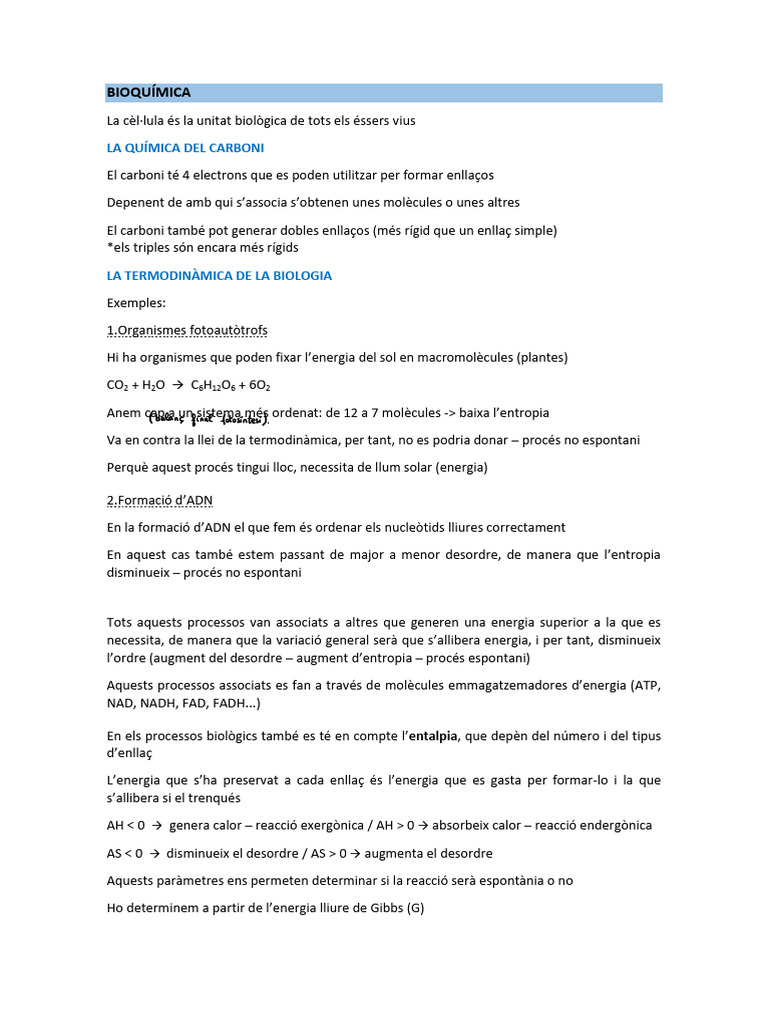 Apunts 1r Parcial | PDF