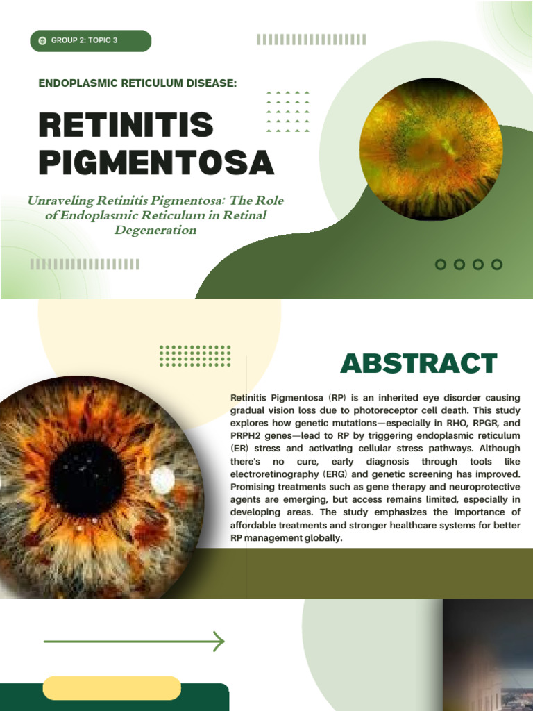 Green and White Simple Mangrove Restoration Presentation PDF | PDF ...