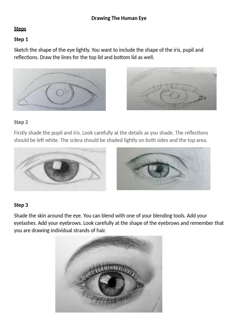 Eyes | PDF