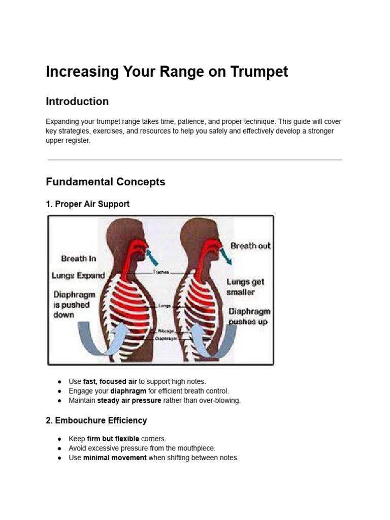 Increasing Your Range On Trumpet | PDF
