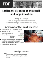 Haggitt's Classification of Malignant Pedunculated | PDF | Colorectal ...