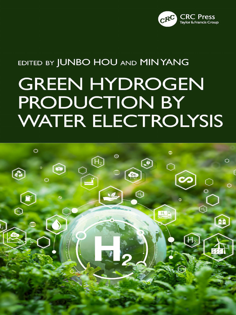 9781040047538 | PDF | Fuel Cell | Hydrogen Economy
