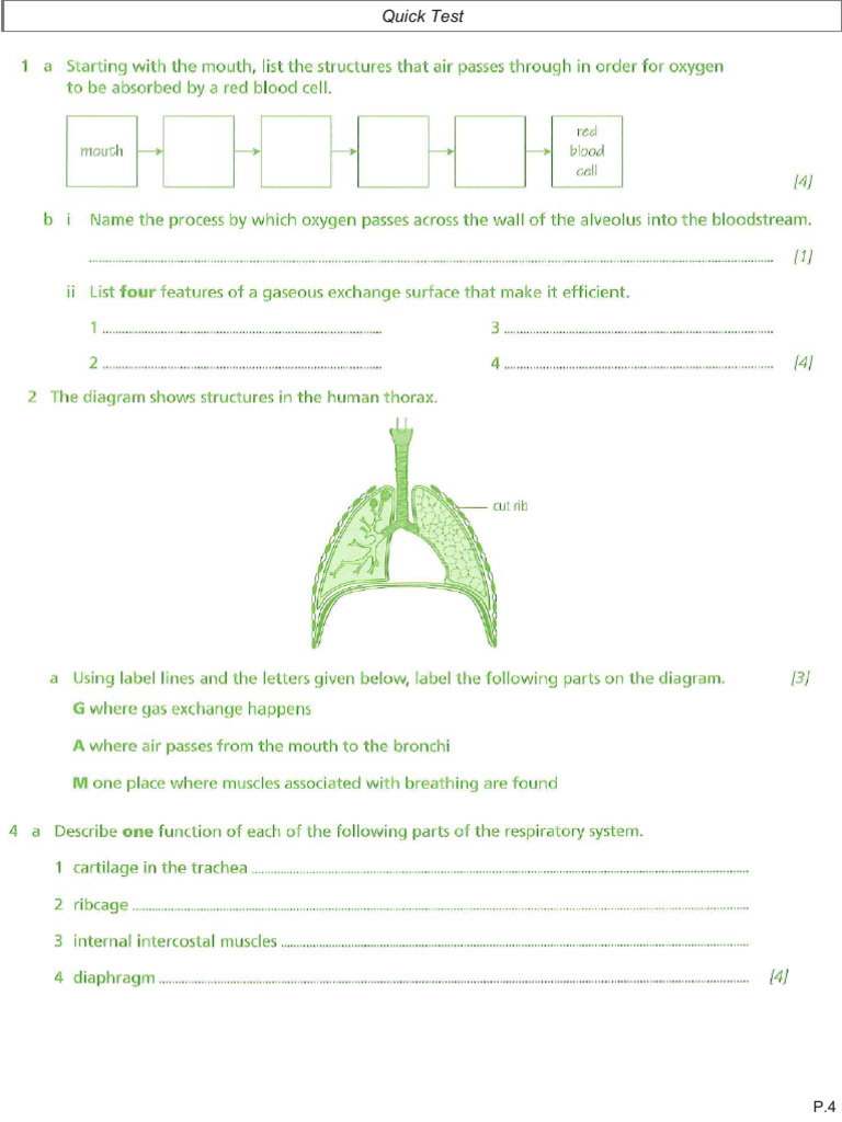 Respiration-and-Gas-Exchange-Booklet-4 | PDF