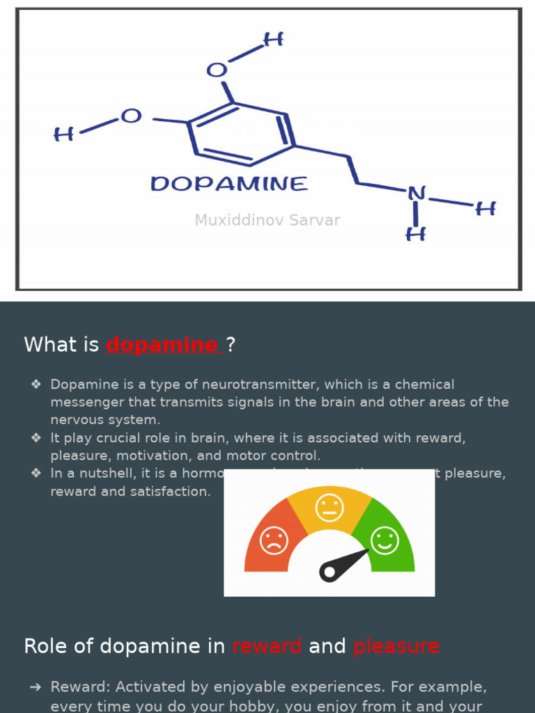 Understanding Dopamine's Role in Pleasure | PDF