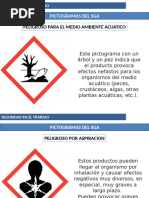 Pictogramas SGA | PDF